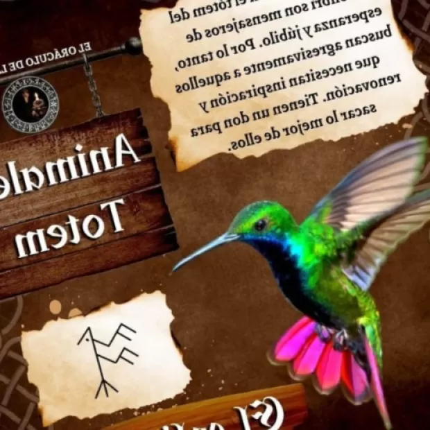 Descubre el significado espiritual detrás del colibrí como tótem animal ...
