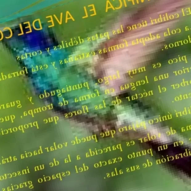 Descubre el significado espiritual detrás del colibrí como tótem animal ...