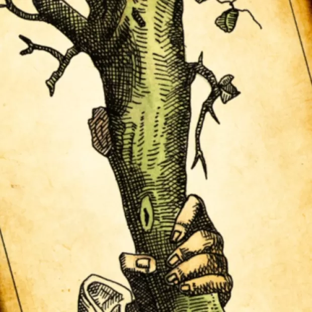 Interpreta el As de Bastos: Significado en el Tarot Marsellés. - Anna Casas