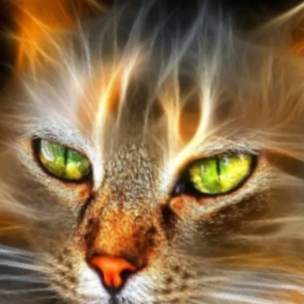 La sabiduría ancestral detrás de los gatos como protectores ...