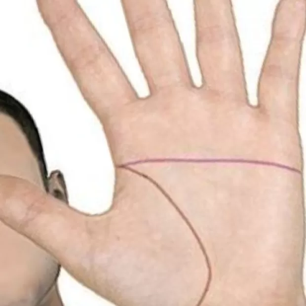 Descubre el significado de la línea simiesca en la quiromancia. - Anna ...