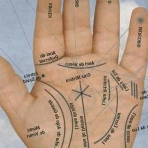 Descubre el significado de la línea simiesca en la quiromancia. - Anna ...