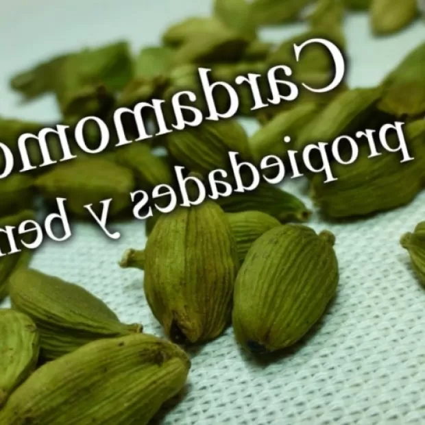 Descubre los increíbles beneficios esotéricos del cardamomo. - Anna Casas