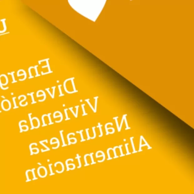 El significado espiritual del color amarillo: luz, claridad y optimismo ...